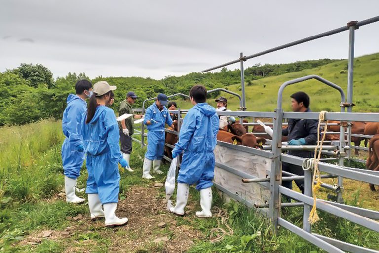 附属施設 - 岩手大学獣医学部