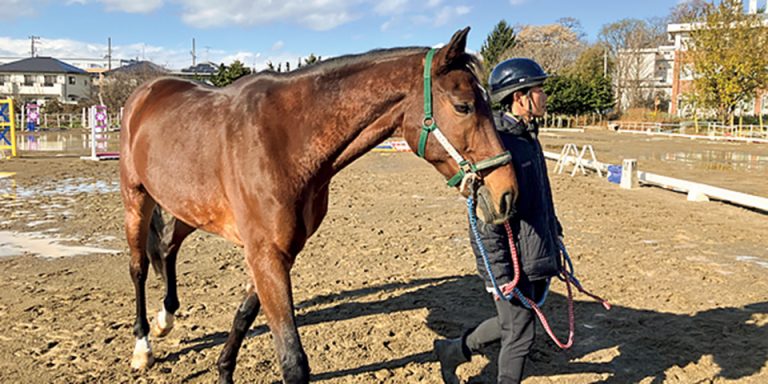 受験生の方 - 岩手大学獣医学部