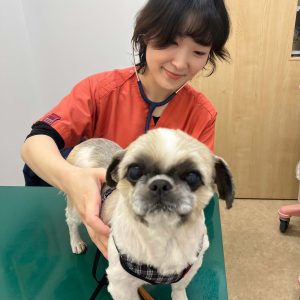 先輩獣医師からのメッセージ - 岩手大学獣医学部