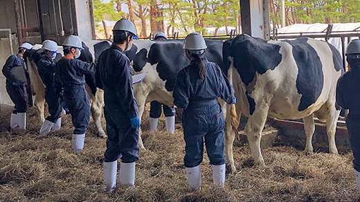 トップページ - 岩手大学獣医学部
