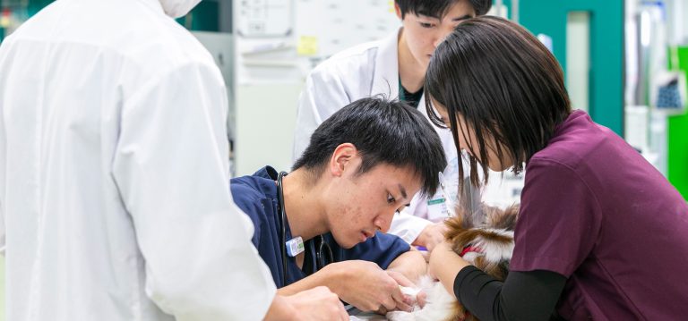 トップページ - 岩手大学獣医学部