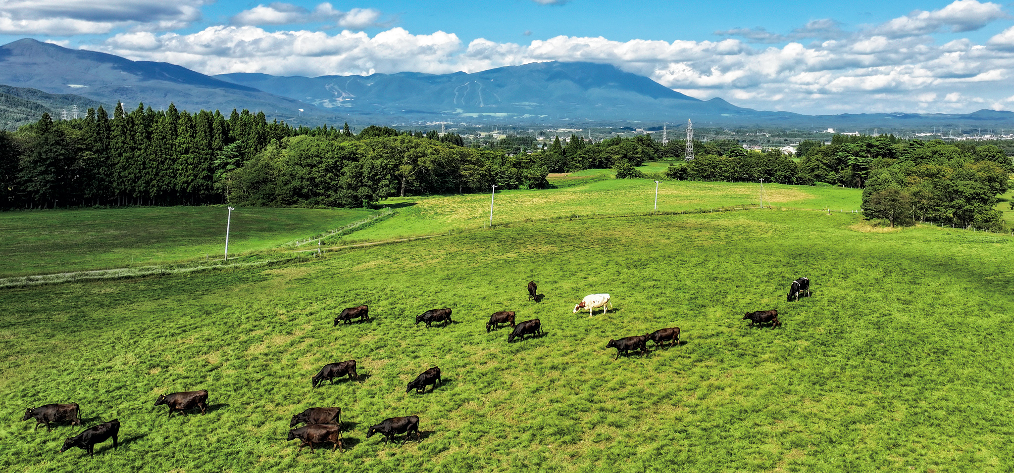 トップページ - 岩手大学獣医学部